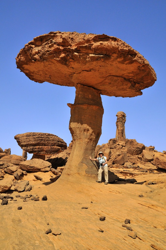 Arch Hunting in Chad | NABS Blog