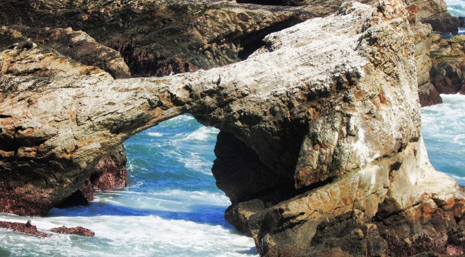 Stornetta Public Lands | NABS Blog